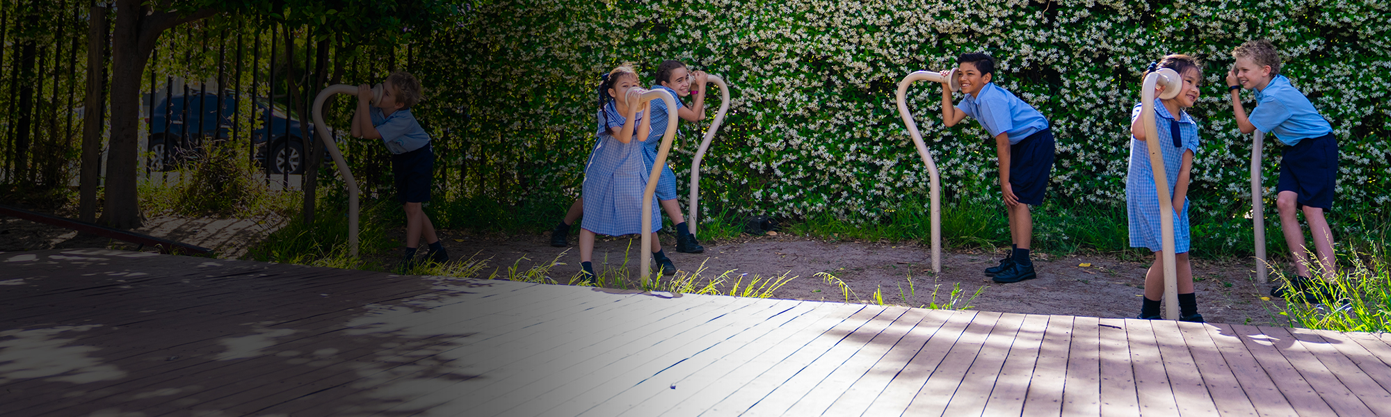 St Therese Catholic Primary School Mascot | St Therese Catholic Primary ...